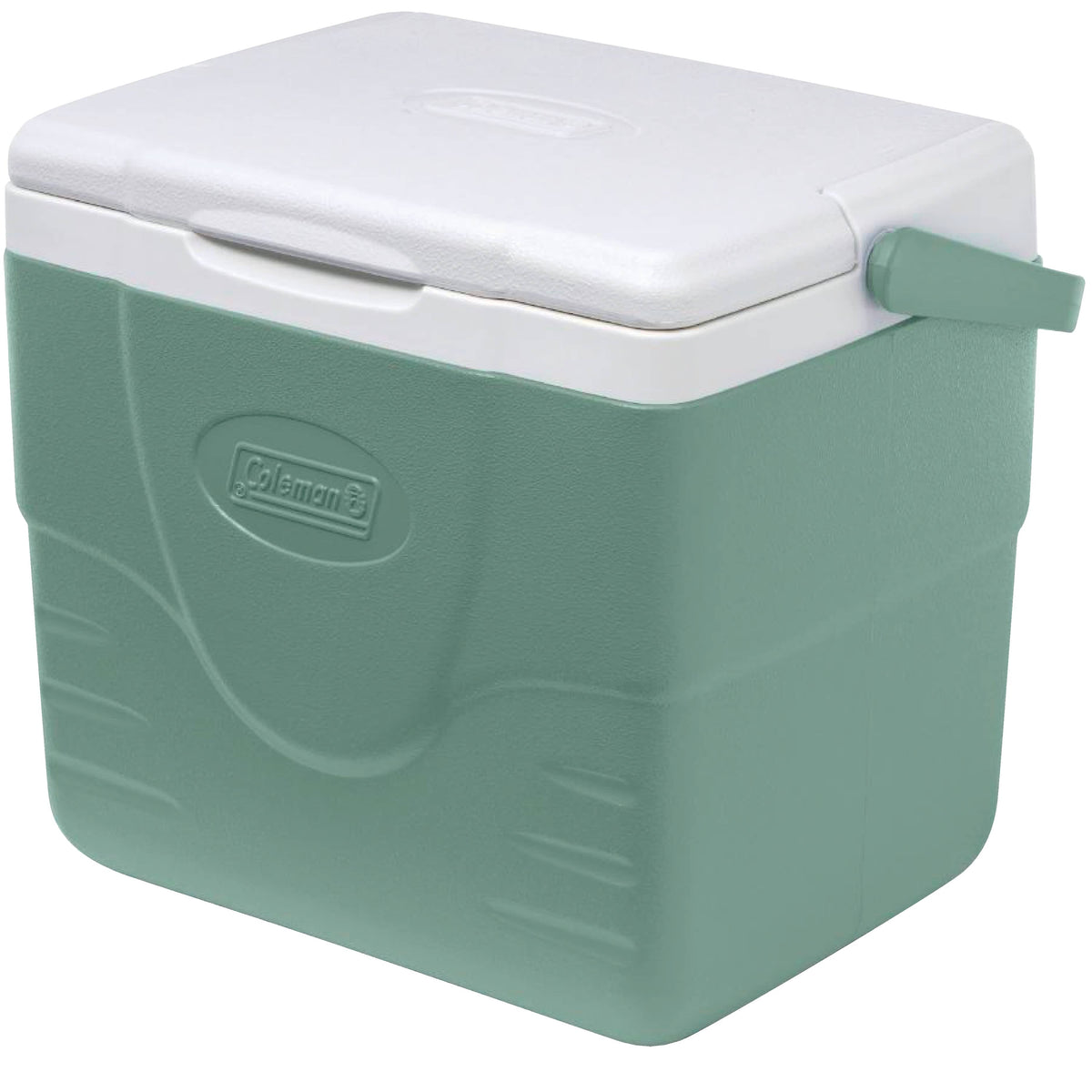 Chiller 9 Qt Cooler - Hickory Moss – Atkinson Home Hardware
