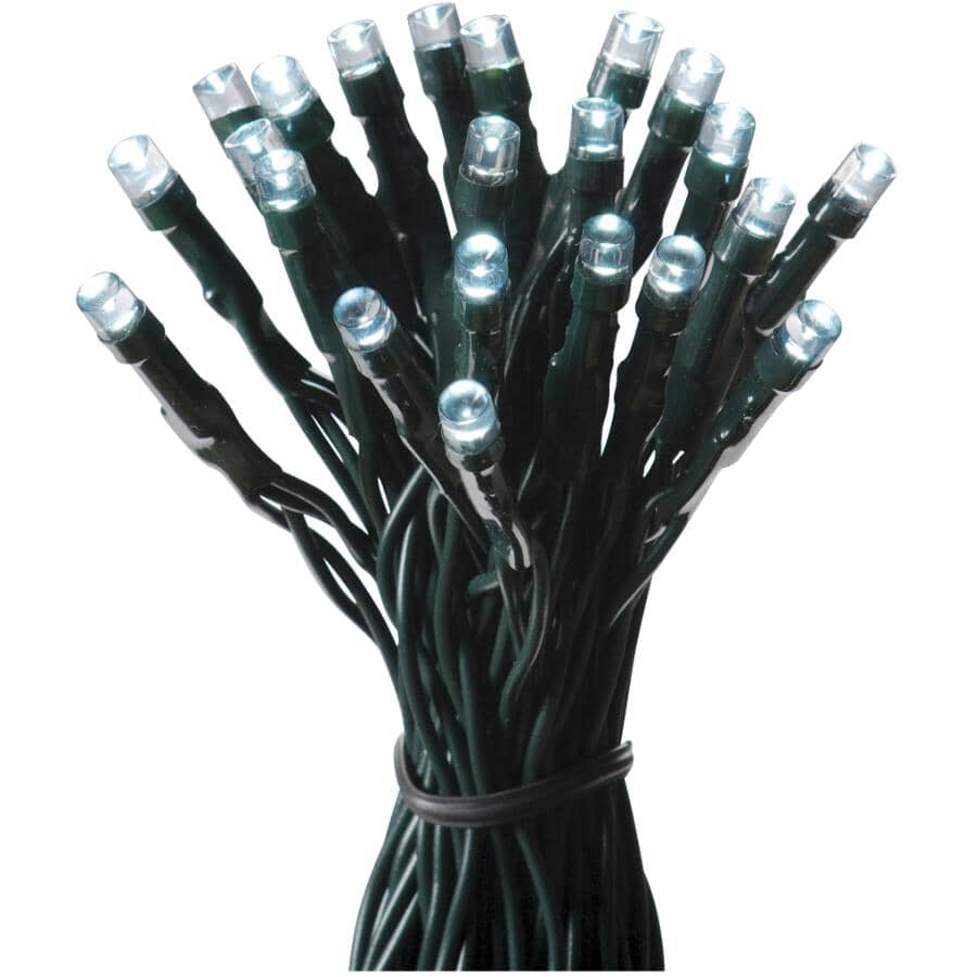 M5 Solar Light Set with Green Wire - Pure White, 50 LEDs – Atkinson ...